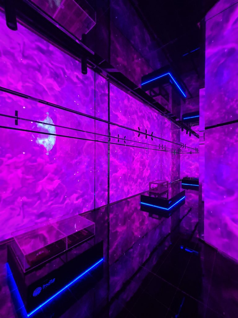 THE APPLICATION - Flexmirror